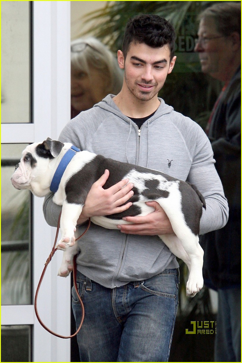 Joe Jonas: Winston Goes to the Vet! | Photo 399183 - Photo Gallery ...
