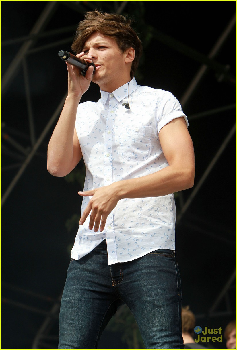 One Direction Have a Party In The Park | Photo 483495 - Photo Gallery ...