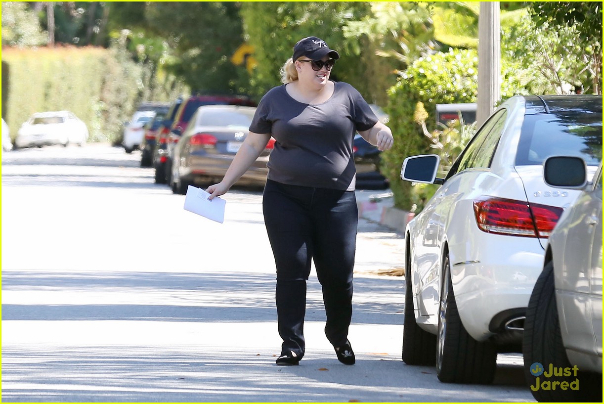 Chris Colfer Would Love Rebel Wilson on 'Glee' | Photo 658709 - Photo ...