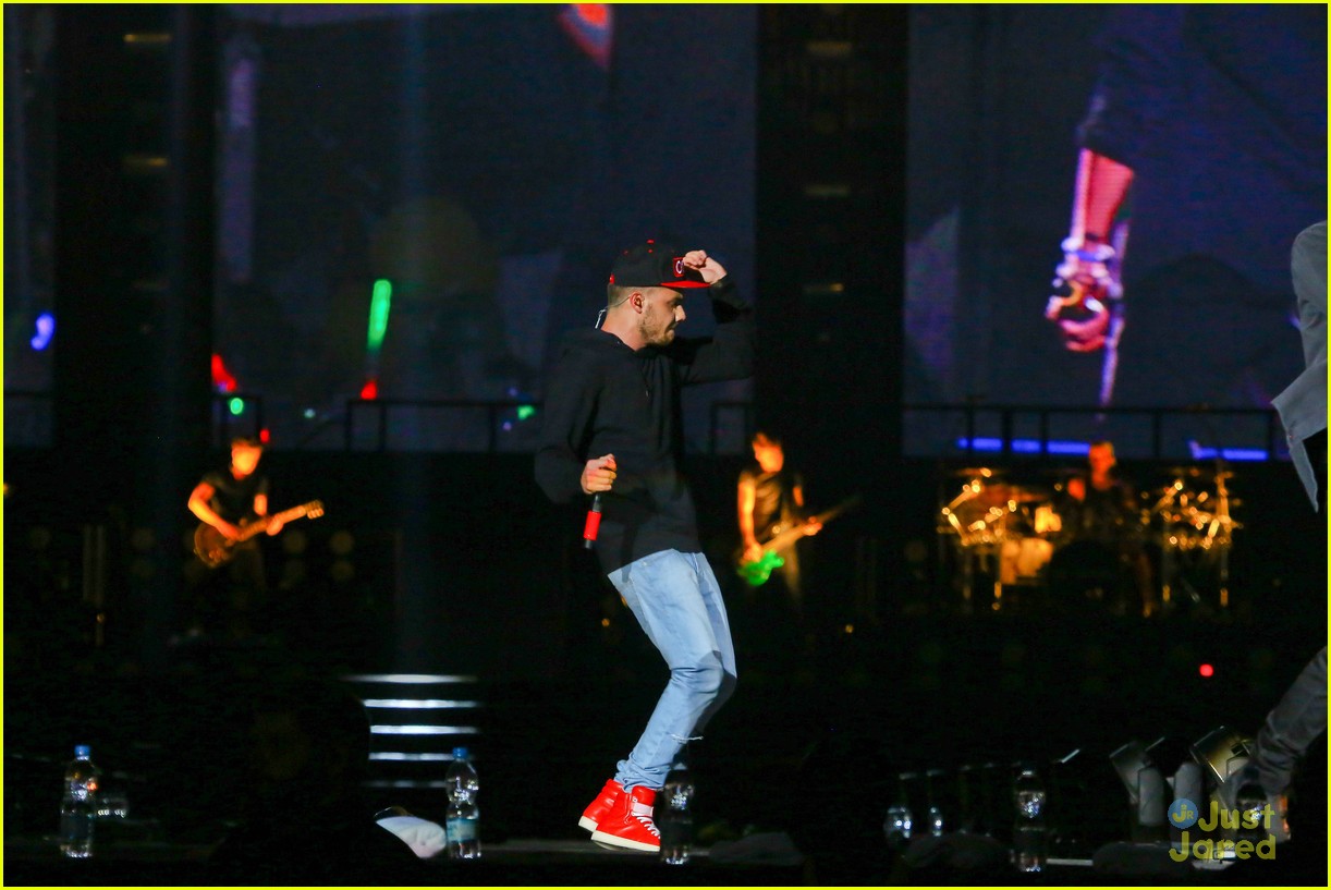 One Direction: See All The Rio Concert Pics Here! | Photo 673404 ...