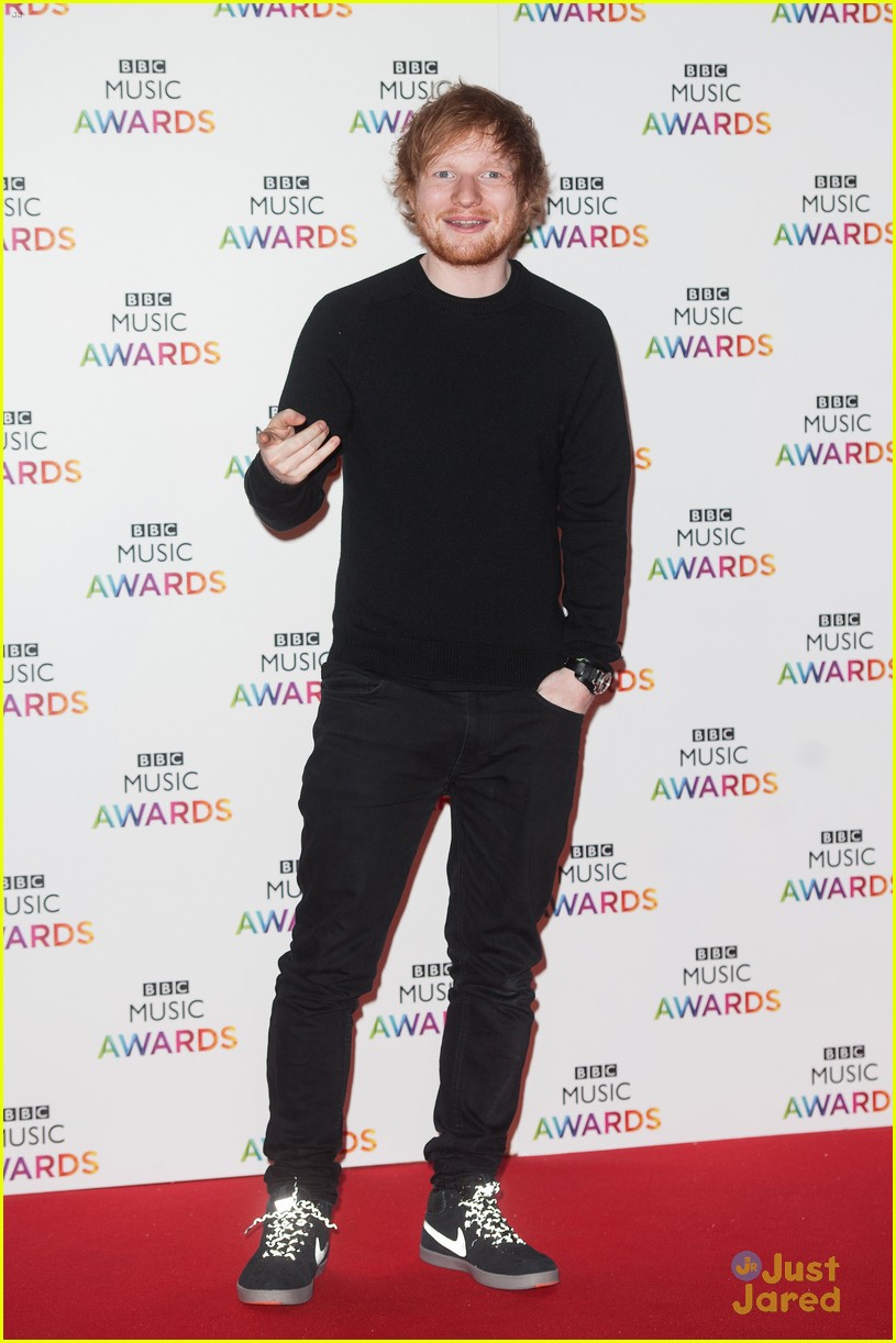 One Direction Look So Dashing at BBC Music Awards 2014 Red Carpet ...