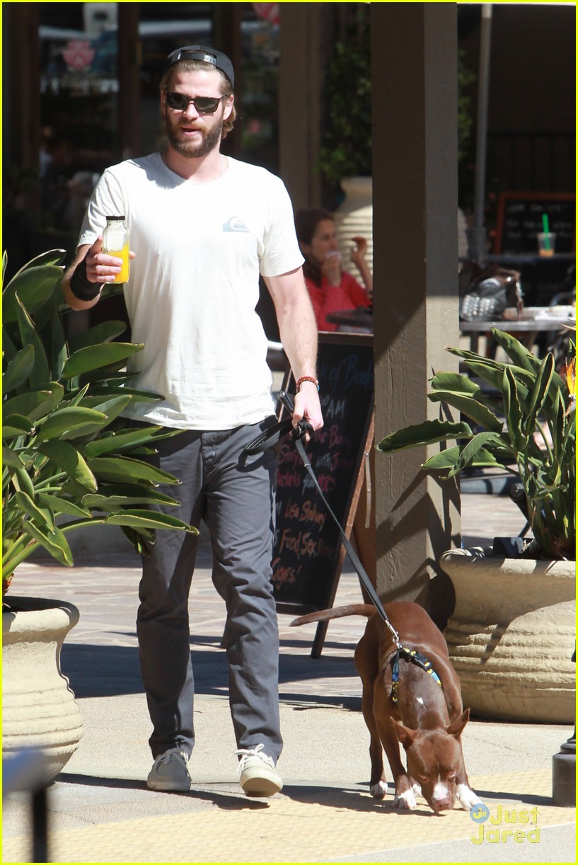 Liam Hemsworth Grabs Lunch With His Dog After 'Independence Day 2 ...