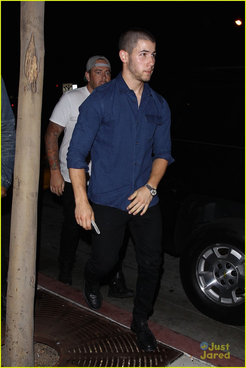 Nick Jonas Says Heterosexual Male Artists Should Recognize Their Gay ...