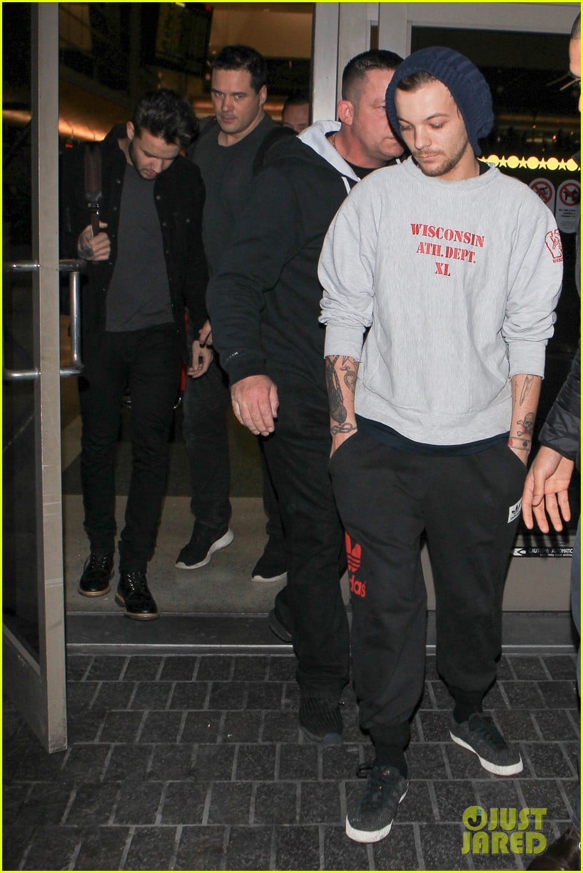 One Direction Reveals Plans for Their Hiatus! | Photo 894890 - Photo ...