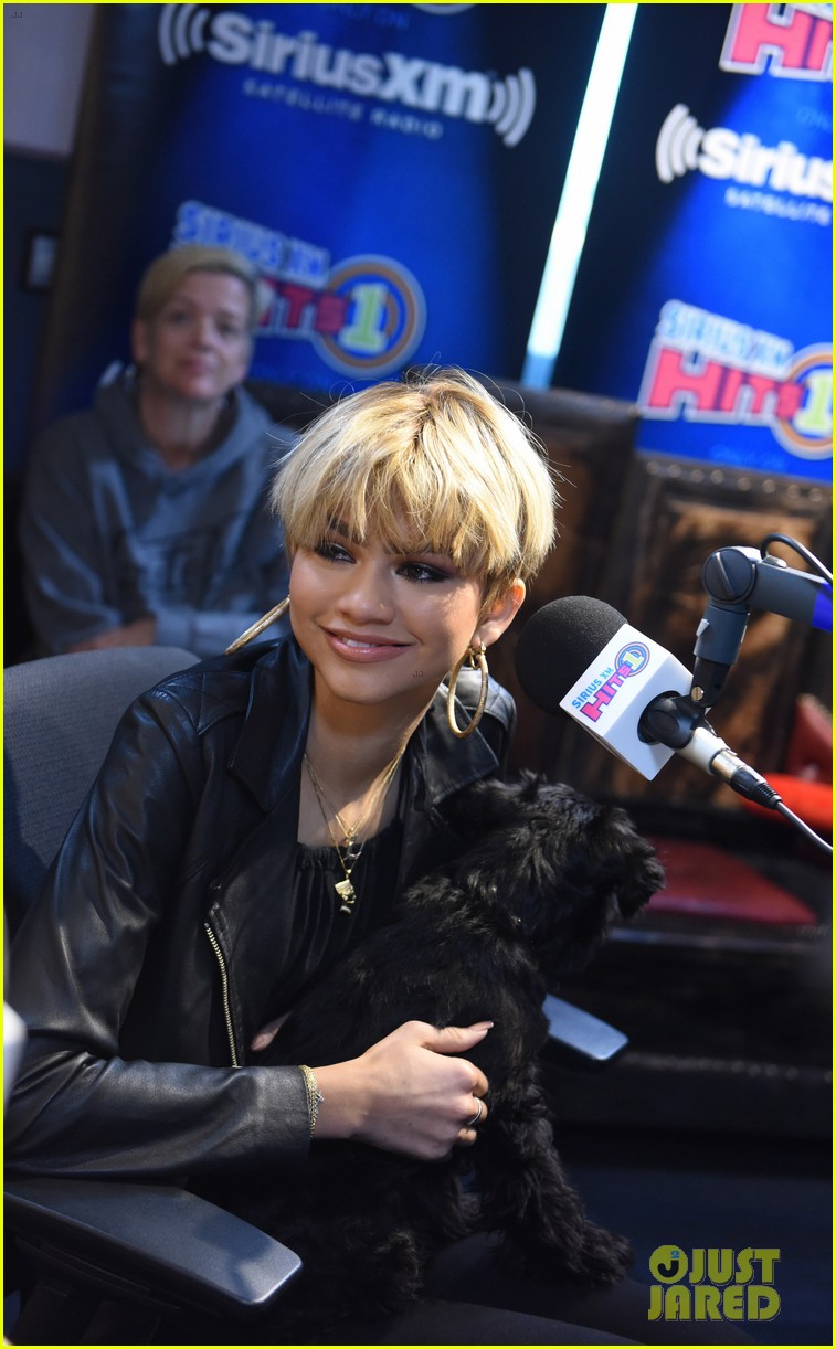 Zendaya Reveals How She Got Chris Brown on Her Song 'Something New ...