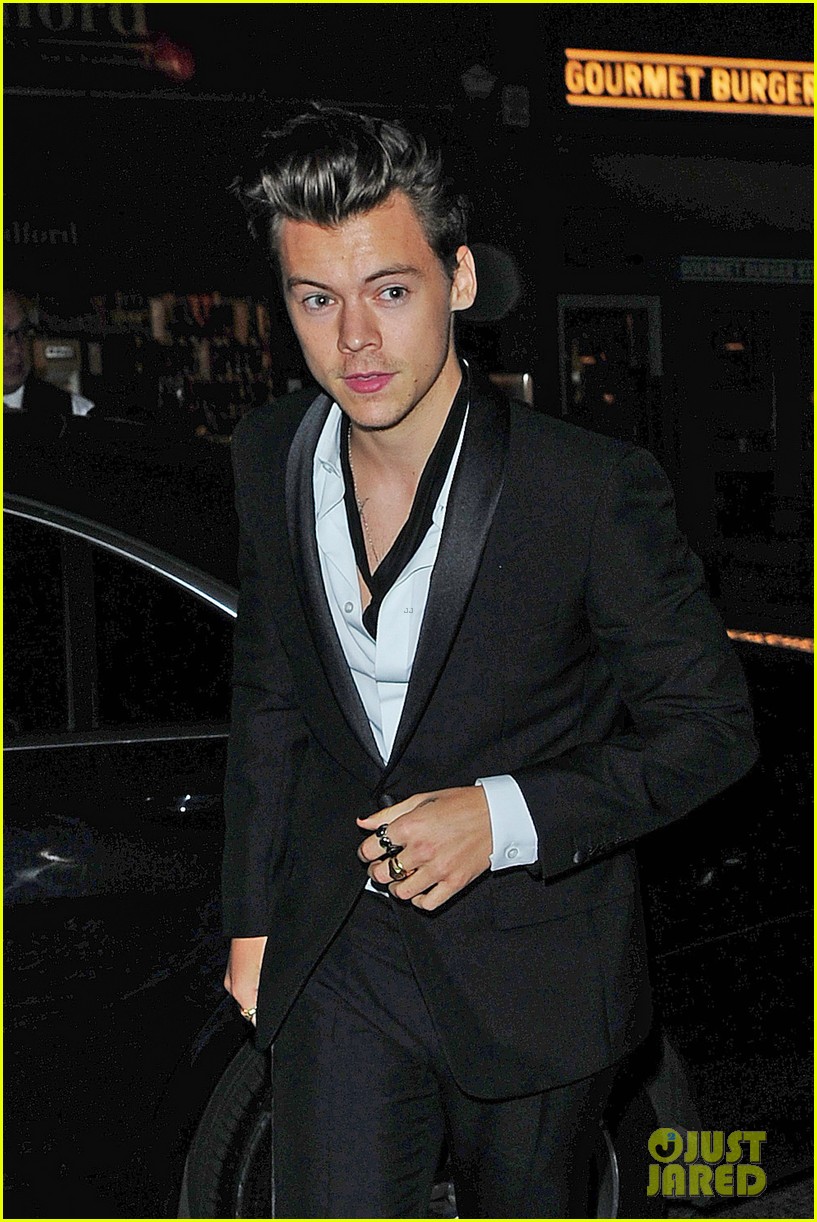 Harry Styles' Trainer Reveals His 'Freakish' Strength | Photo 1035866 ...