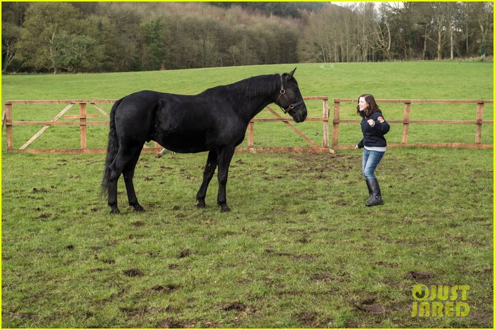 10 Reasons to Watch Nickelodeon's New Show 'Ride' | Photo 1067369 ...