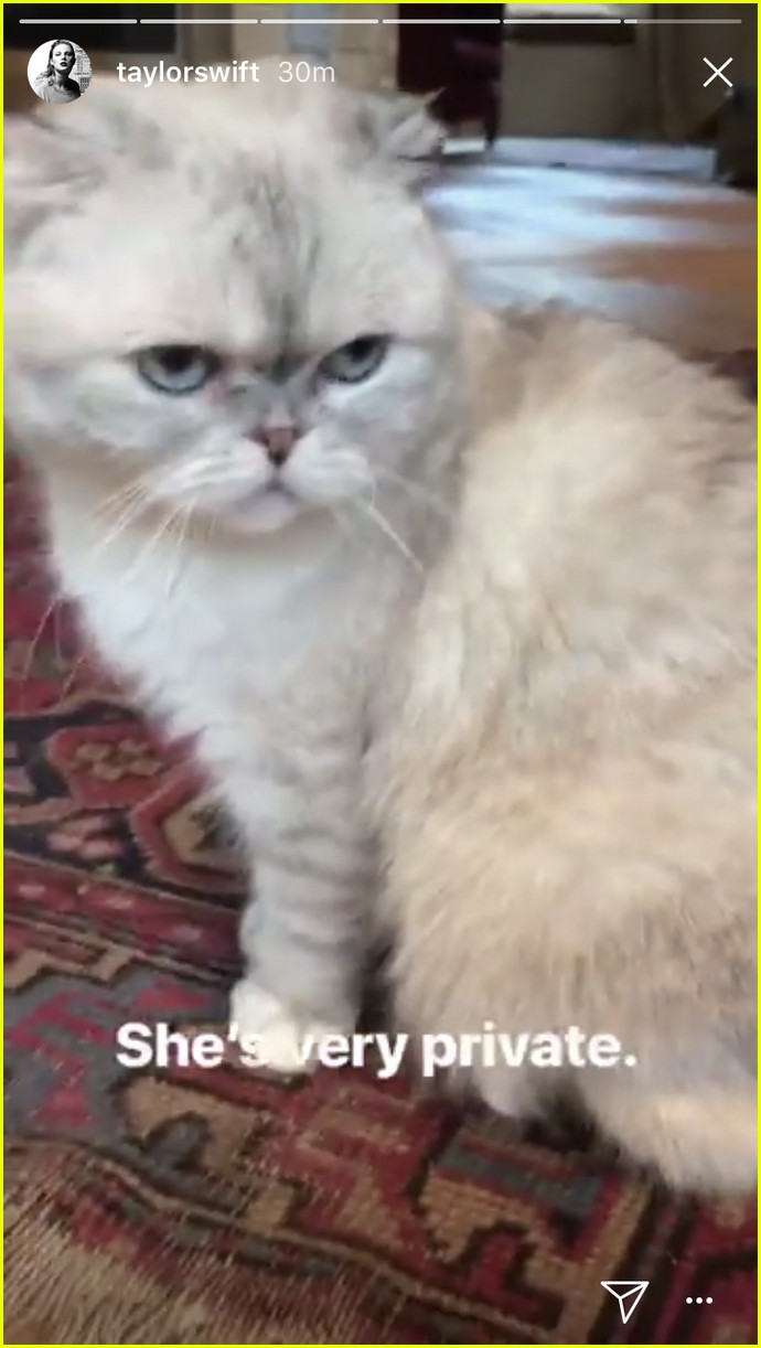 Taylor Swift Shares Olivia & Meredith's Reactions to Their 'Deadpool 2 ...