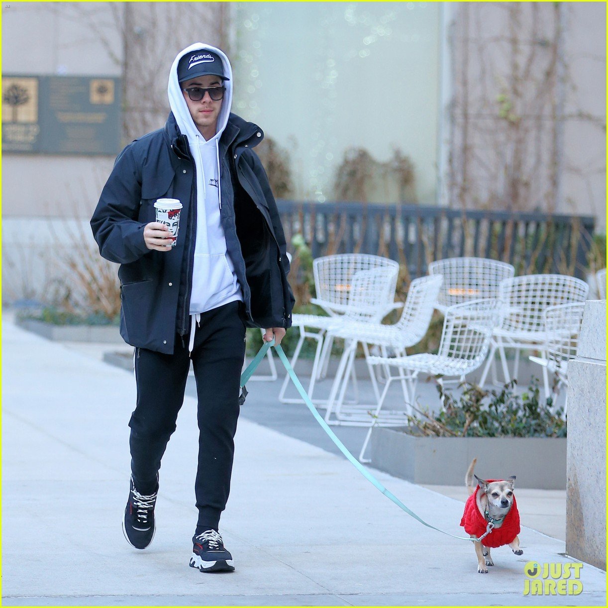 New Dog Daddy Nick Jonas Takes Pup Gino for a Walk! | Photo 1276132 ...