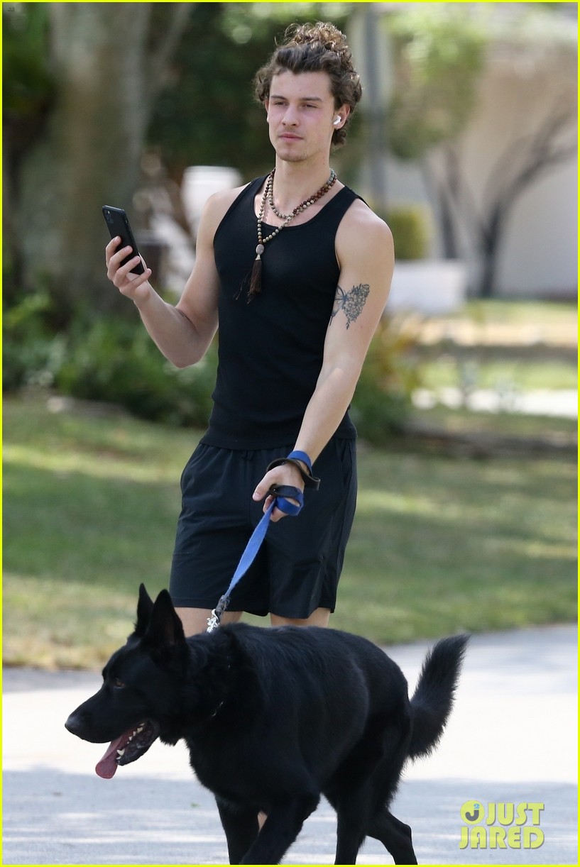 Shawn Mendes Goes for a Friday Morning Walk with Thunder | Photo ...