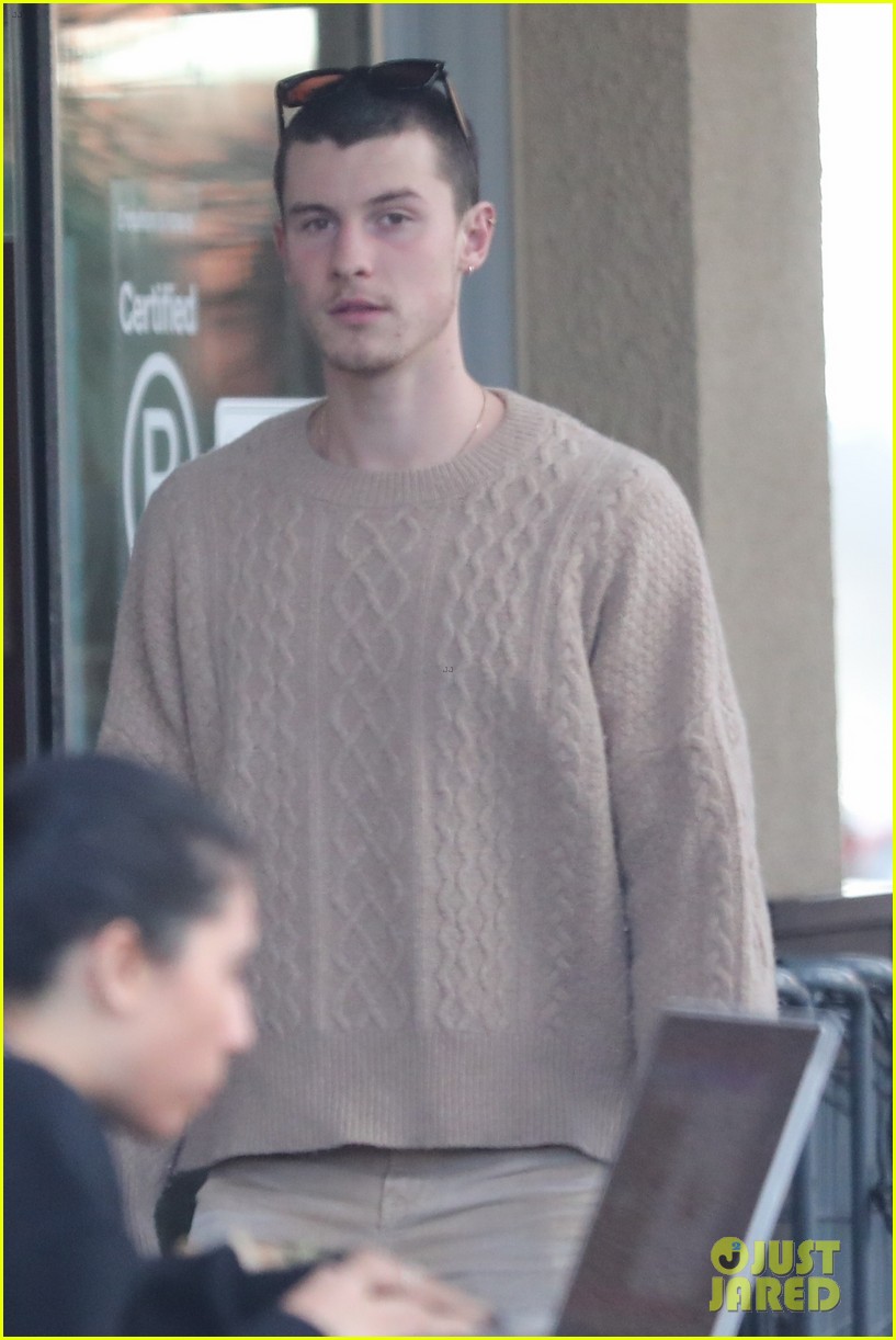 Shawn Mendes & a Friend Grab Lunch in L.A. | Photo 1366468 - Photo ...
