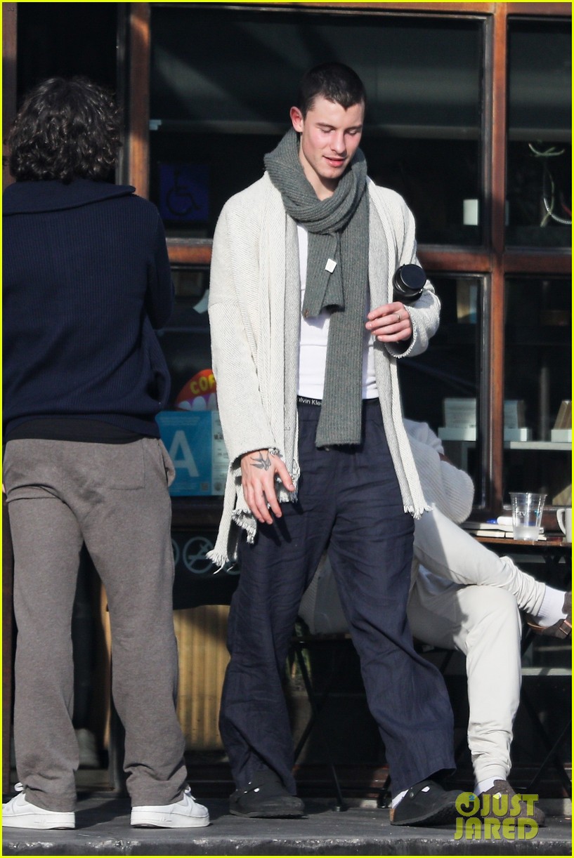 Shawn Mendes Steps Out for Breakfast With Freshly Buzzed Head | Photo ...