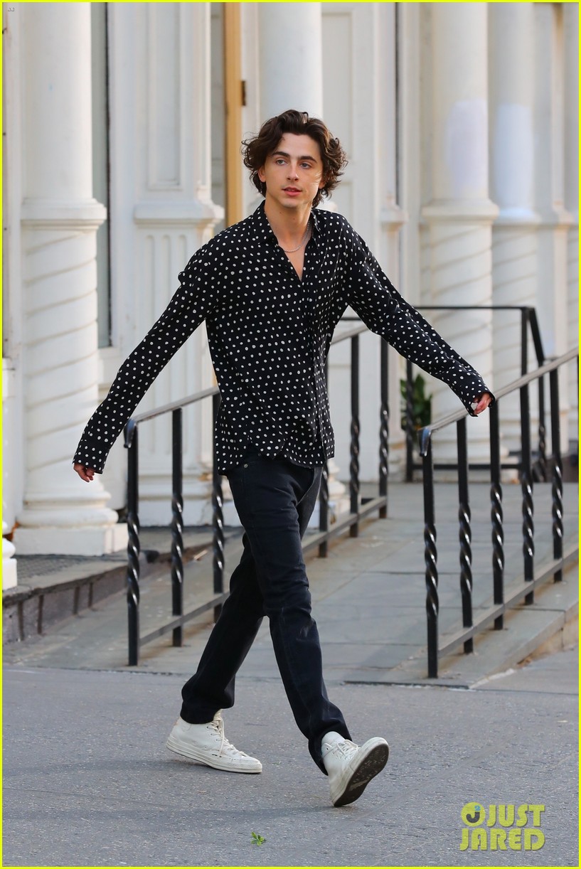 Timothee Chalamet Can Barely Contain His Smile While Getting Back to ...