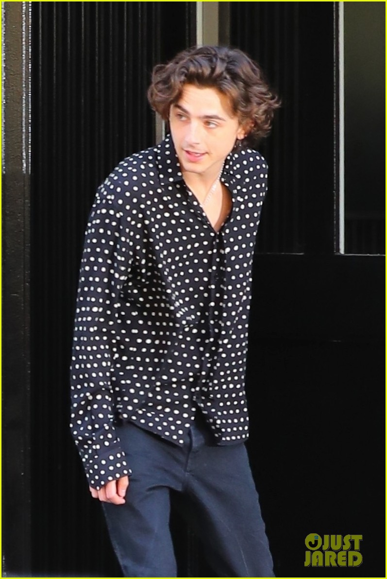 Timothee Chalamet Can Barely Contain His Smile While Getting Back to ...