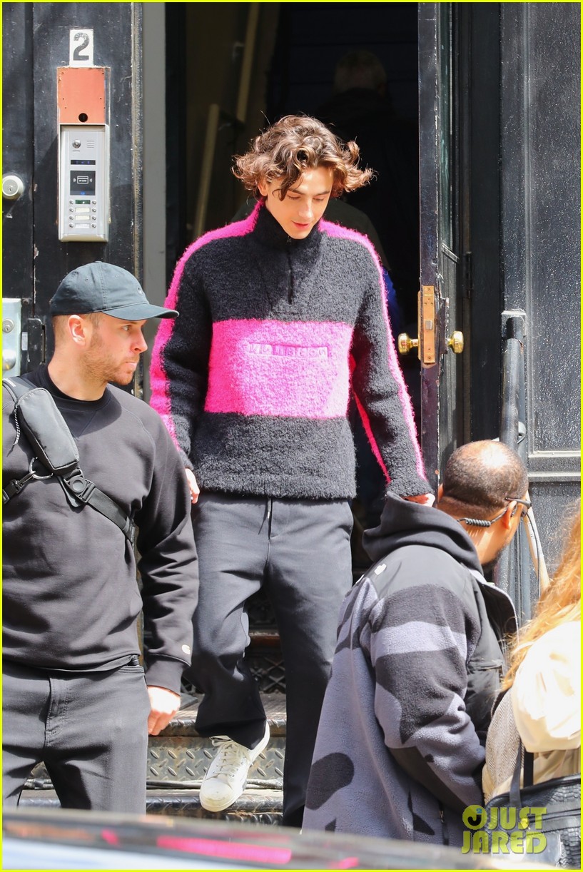 Timothee Chalamet Can Barely Contain His Smile While Getting Back to ...