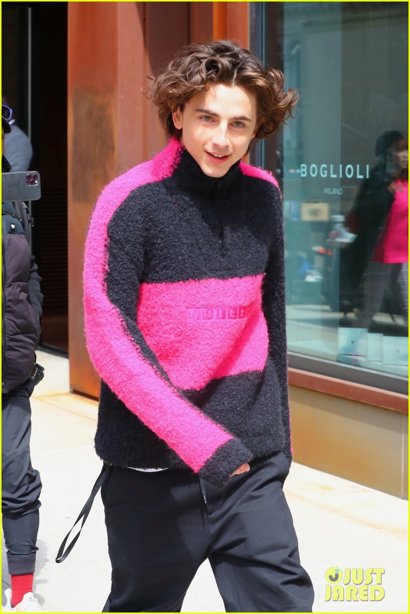 Timothee Chalamet Can Barely Contain His Smile While Getting Back to ...