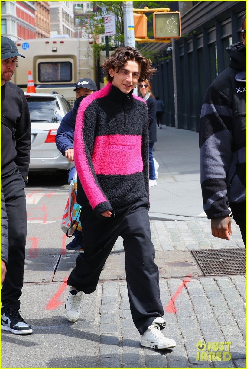 Timothee Chalamet Can Barely Contain His Smile While Getting Back to ...