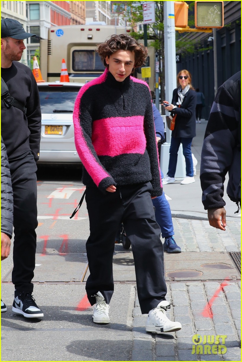 Timothee Chalamet Can Barely Contain His Smile While Getting Back to ...