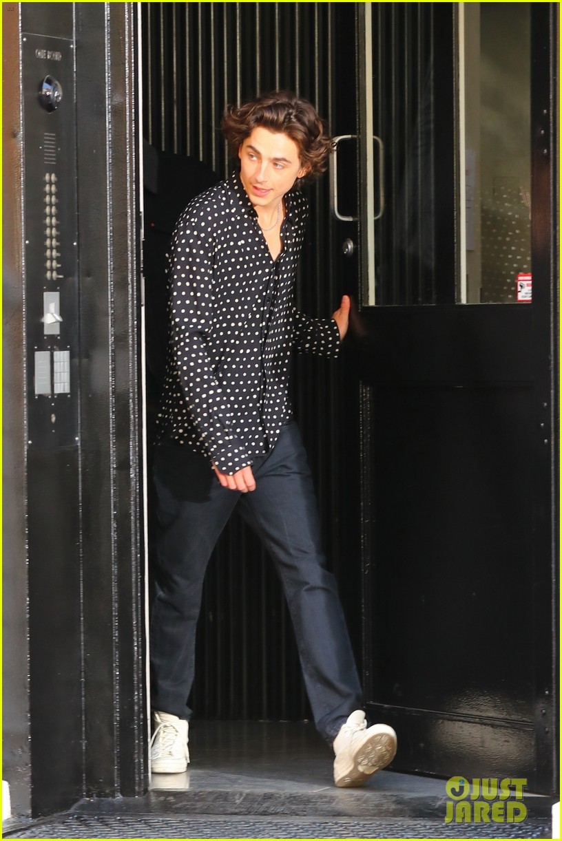 Timothee Chalamet Can Barely Contain His Smile While Getting Back to ...