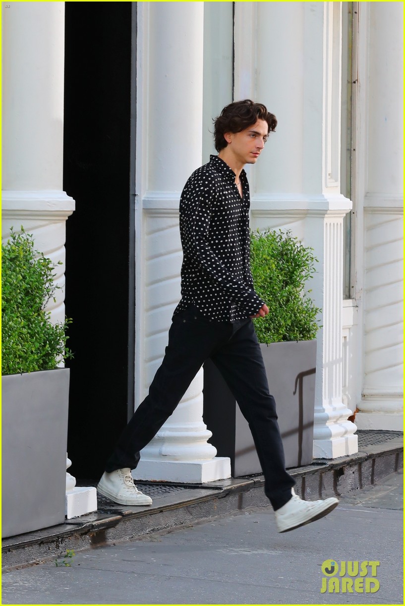 Timothee Chalamet Can Barely Contain His Smile While Getting Back to ...