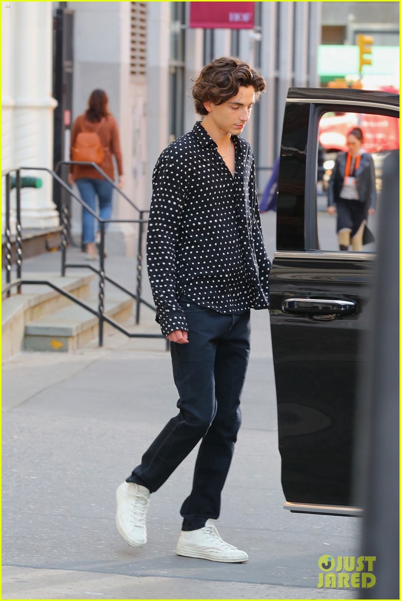 Timothee Chalamet Can Barely Contain His Smile While Getting Back to ...