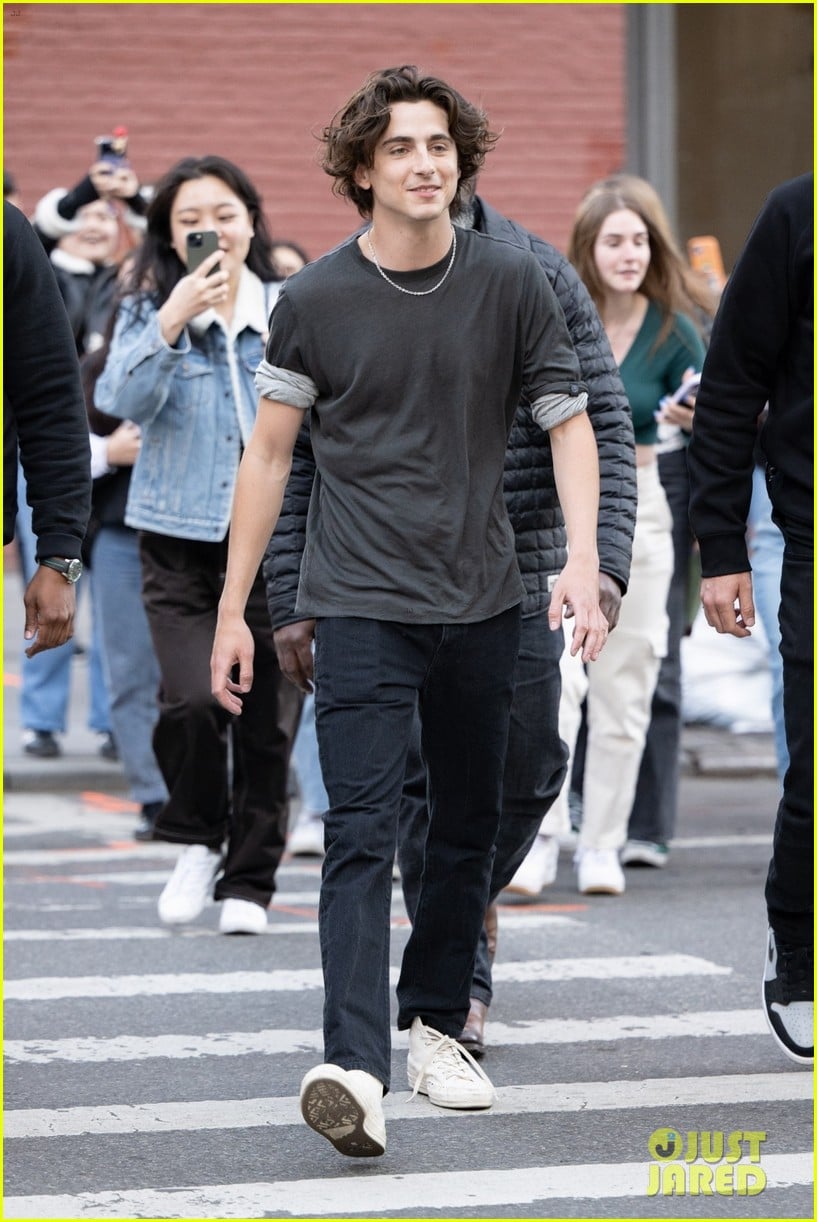 Timothee Chalamet Can Barely Contain His Smile While Getting Back to ...
