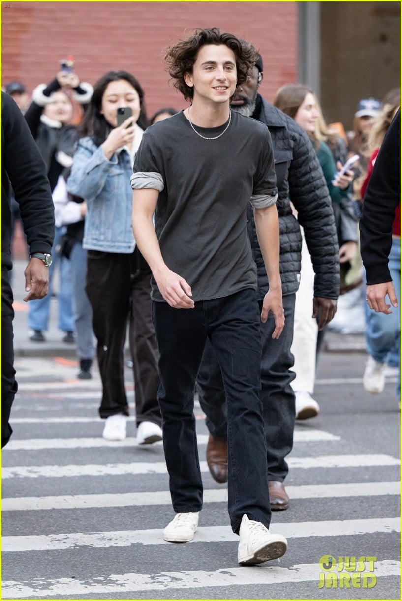 Timothee Chalamet Can Barely Contain His Smile While Getting Back to ...