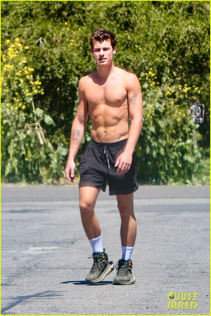 Shawn Mendes Shows Off His Super-Toned Six-Pack During Shirtless Hike ...