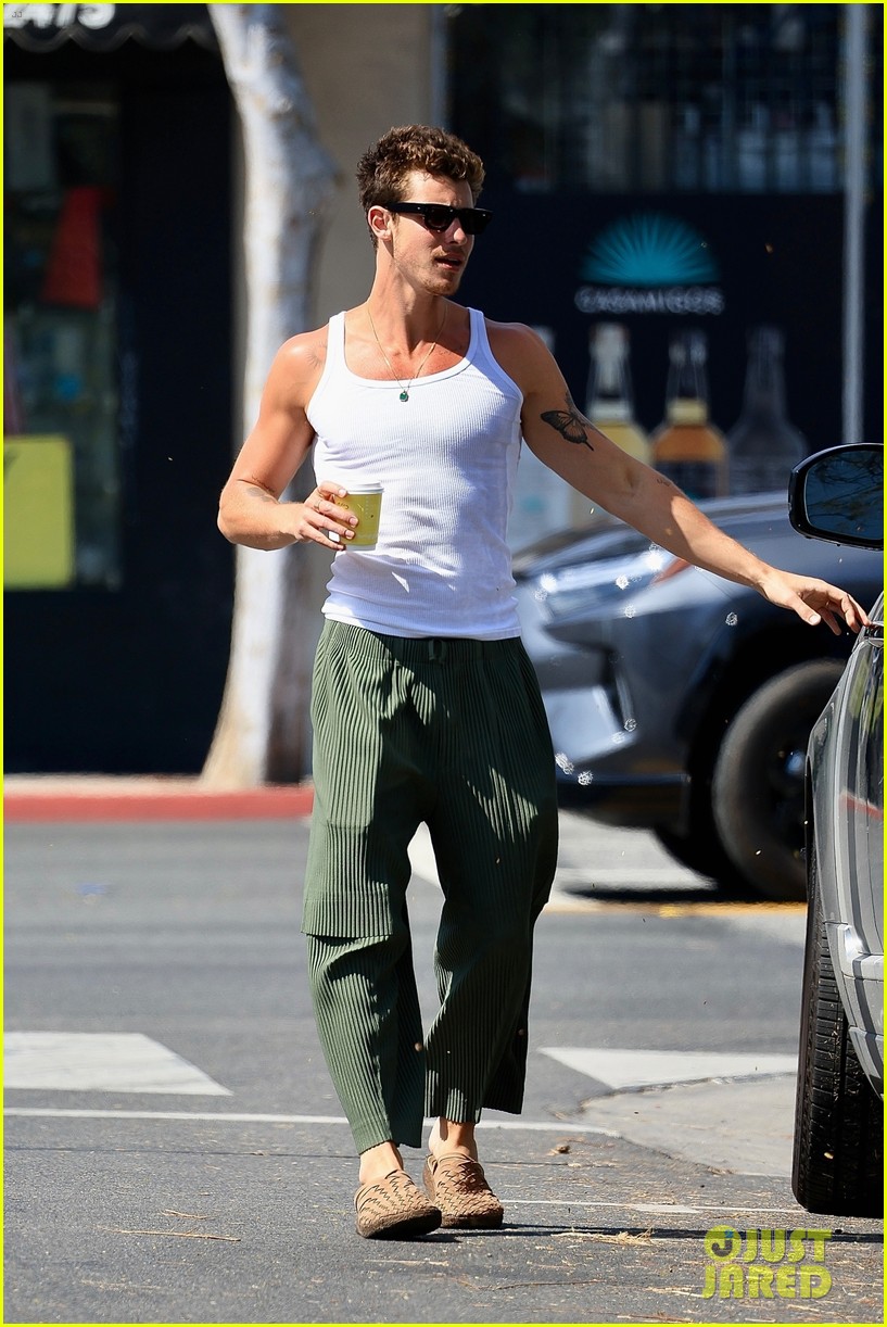 Shawn Mendes Spends the Afternoon Shopping in West Hollywood | Photo ...