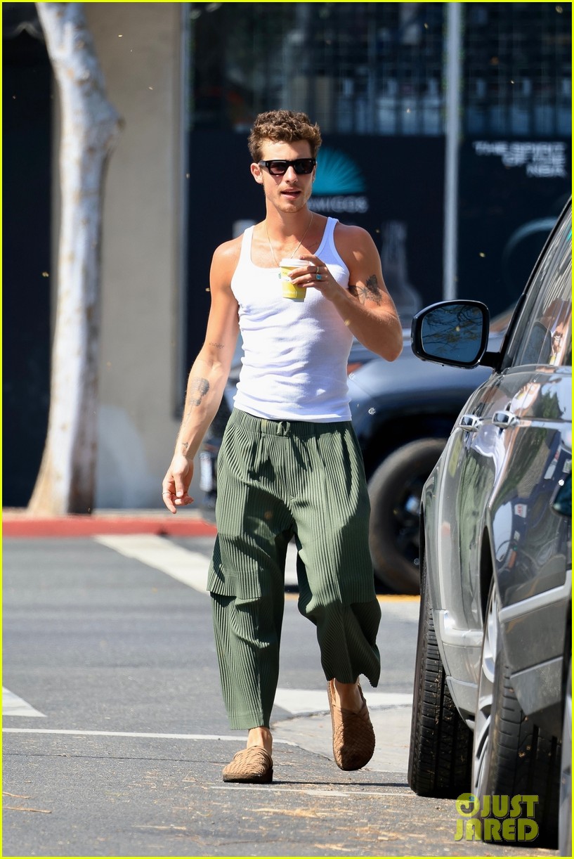 Shawn Mendes Spends the Afternoon Shopping in West Hollywood | Photo ...