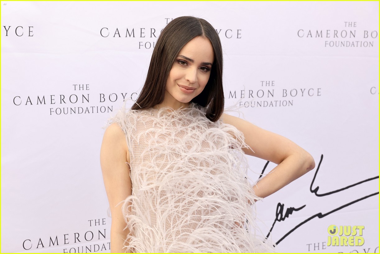 Dove Cameron, Booboo Stewart, Sofia Carson & More 'Descendants' Stars ...