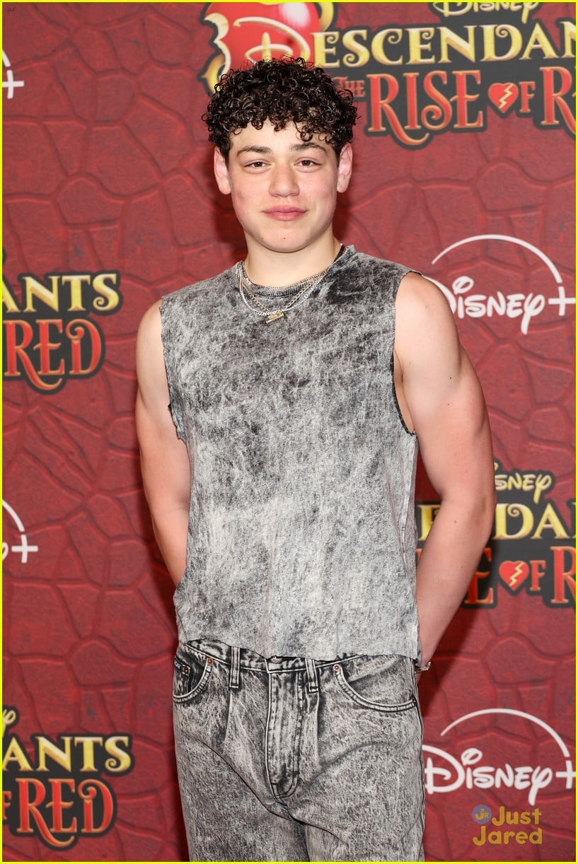 'Wizards Beyond Waverly Place' Cast Makes First Appearance Together at ...