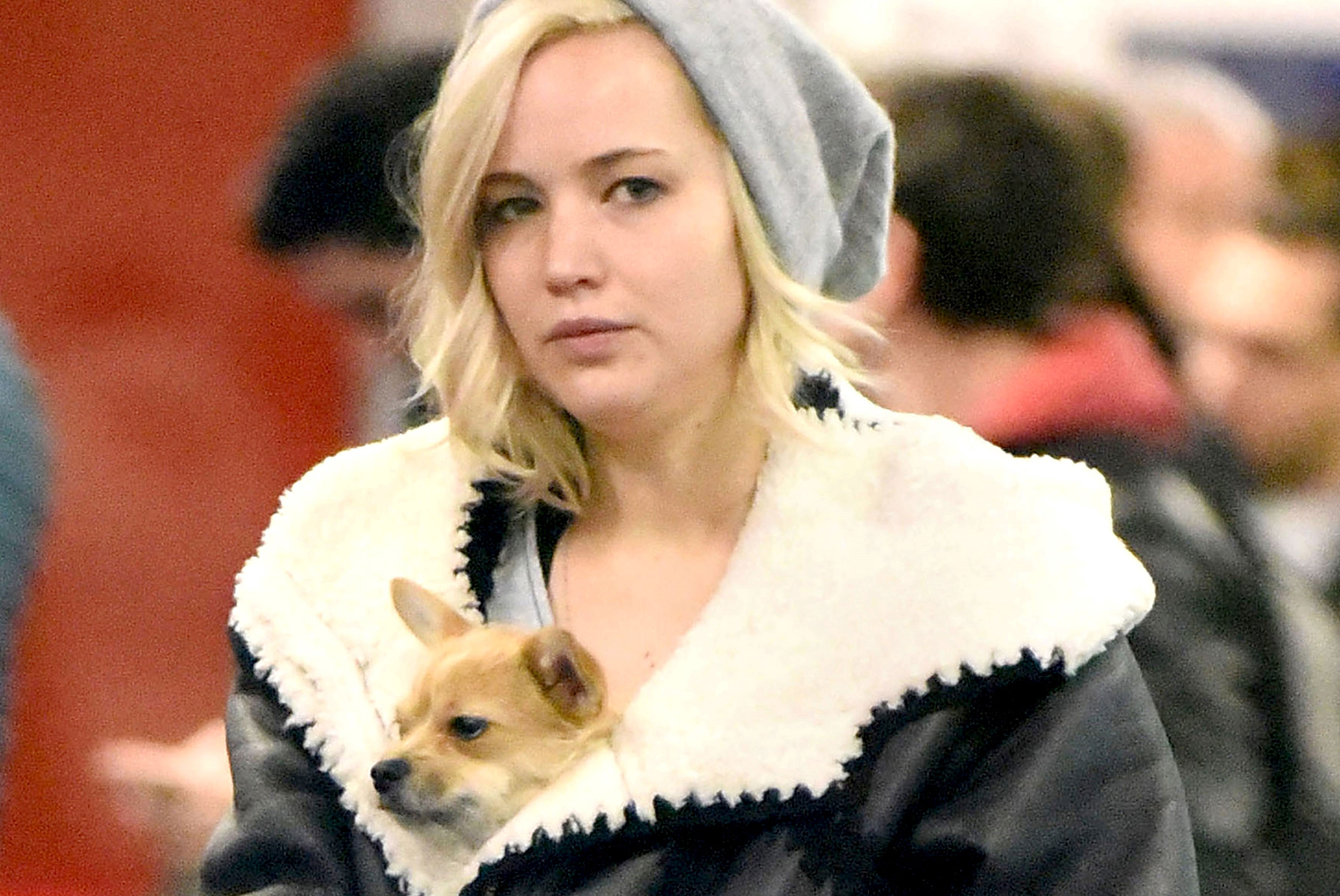Jennifer Lawrence Carries Her Cutie Pie Pup in Her Coat at the Airport ...