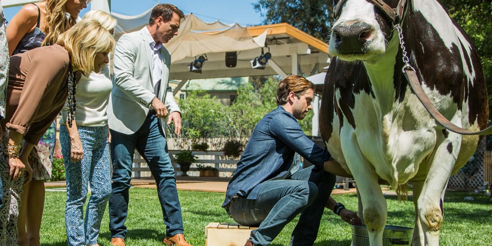 Pierson Fode Milks A Cow on ‘Home & Family’ | Pierson Fode | Just Jared Jr.