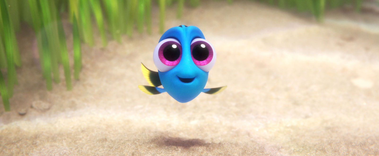Forgetful Dory Memes Dory GIFs | Tenor