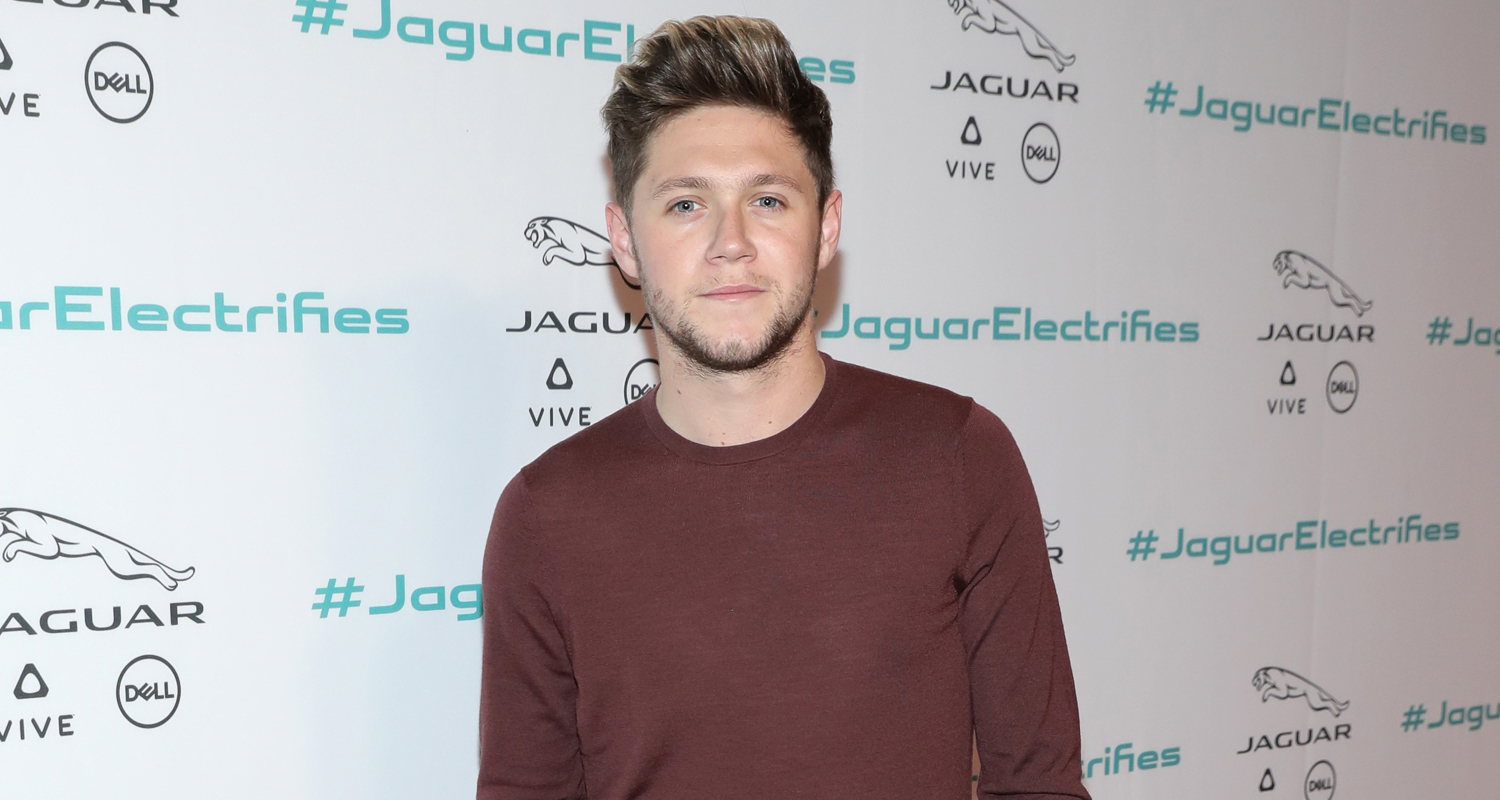 Niall Horan Is Returning to the AMAs Stage For His First Solo ...