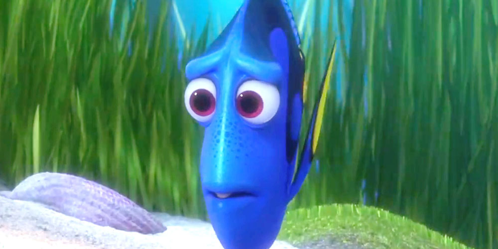 Ellen DeGeneres Had The Perfect Reaction To ‘Finding Dory’s Oscar Snub ...