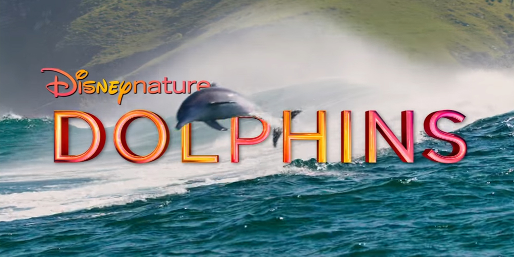 FIRST LOOK: DisneyNature’s Next Film Is All About Dolphins ...