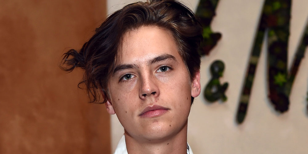 Cole Sprouse’s Fan Art Instagram Account is No More & We’re in Mourning ...