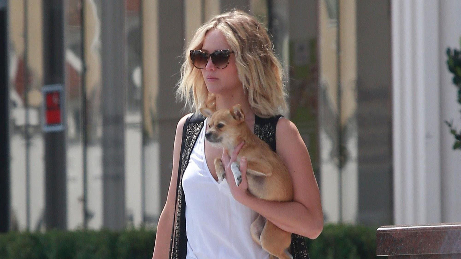 Jennifer Lawrence Cuddles Her Pup While Out & About in Westwood ...