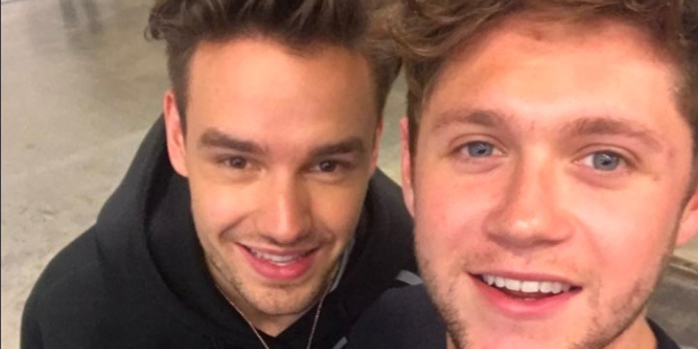 Niall Horan & Liam Payne Run Into Each Other at WZPL’s Birthday Bash ...