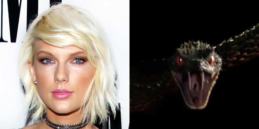 Taylor Swift Shares Third Cryptic Video, Showing Snake’s Head! | Taylor ...