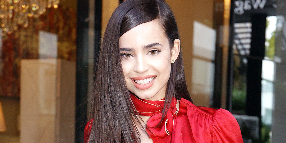 Sofia Carson Flashes Back To First Ever Instagram & Has All The Feels ...