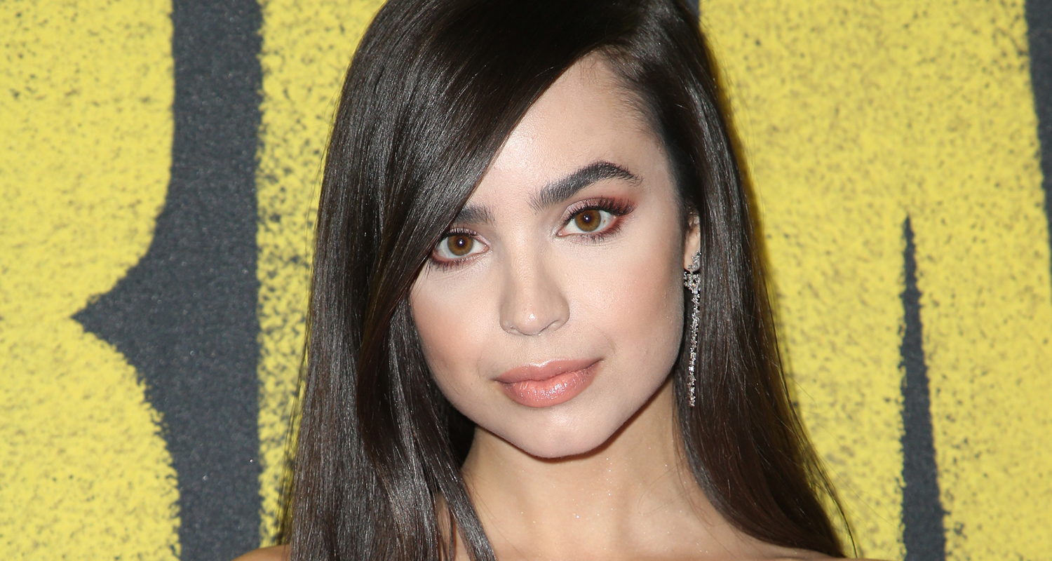 Sofia Carson Looks Back on Her Incredible 2017! | Sofia Carson | Just ...
