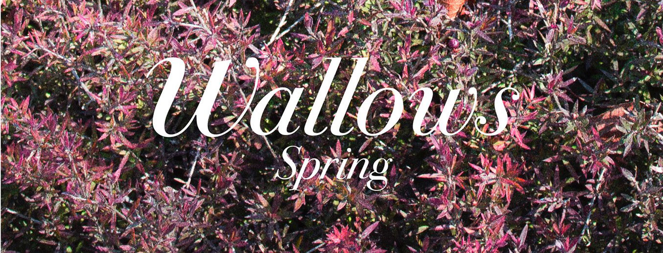 Dylan Minnette’s Band Wallows Just Dropped Their Debut EP ‘Spring ...