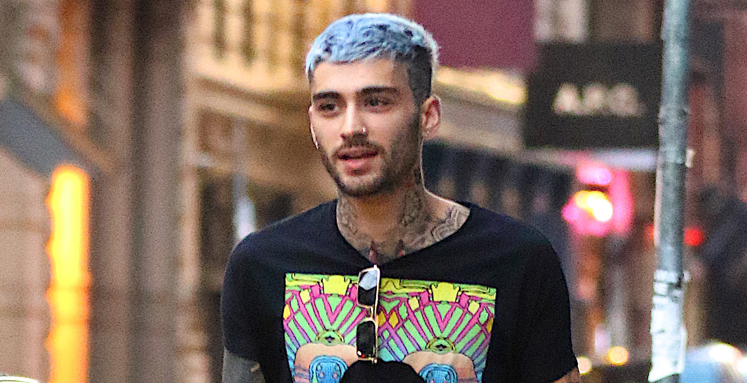 Zayn Malik is Now Rocking Silver Hair! | Zayn Malik | Just Jared Jr.