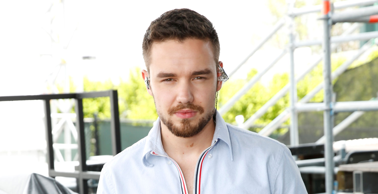 Liam Payne Gets Slimed So Good at Nickelodeon SlimeFest | Liam Payne ...