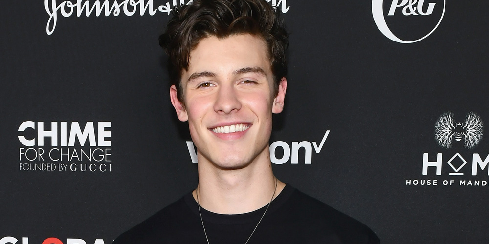 Shawn Mendes Says Hi To Fans on Twitter With Cute Message: ‘I’m Seeing ...
