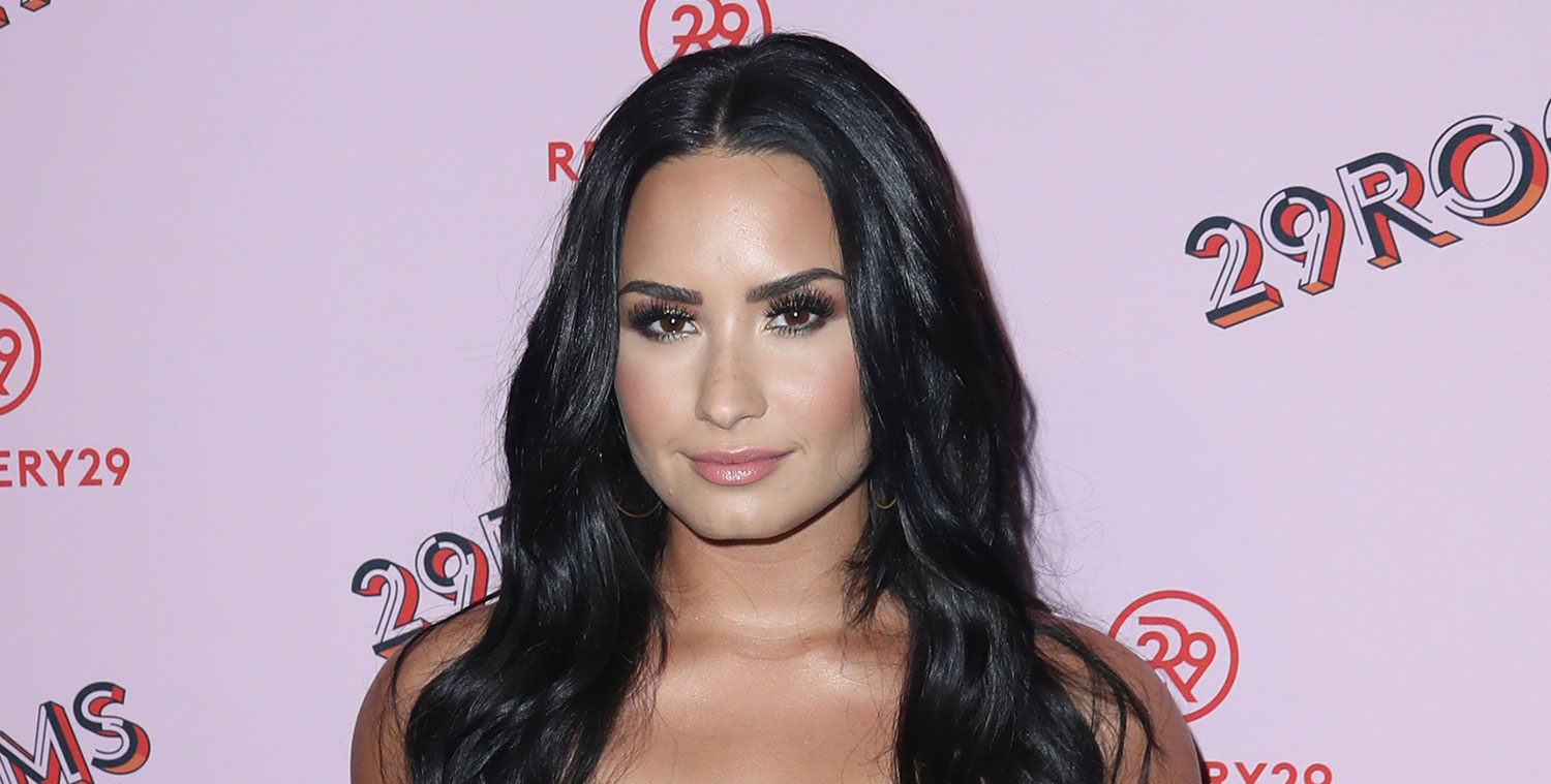Demi Lovato Tells Fan ‘You Don’t Know What You’re Talking About’ On ...