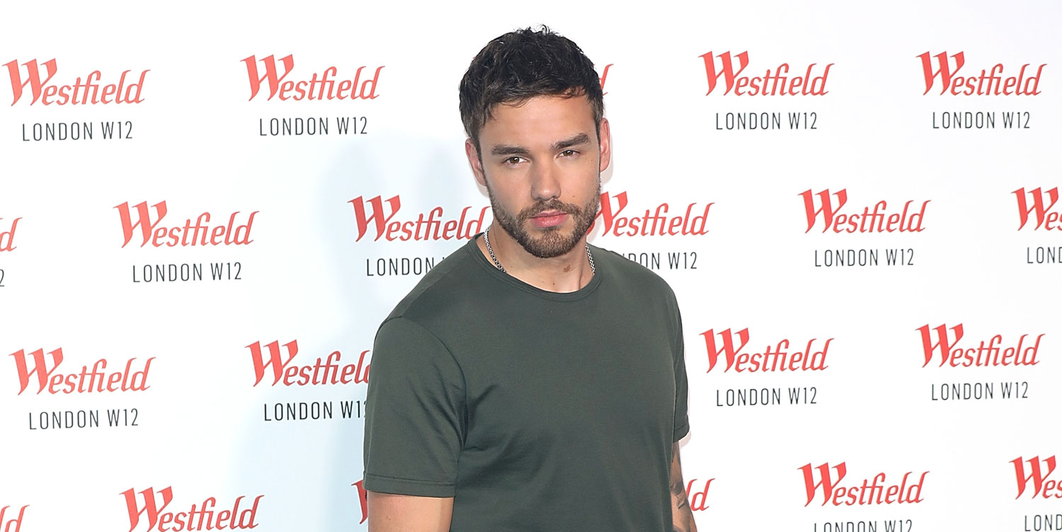 Liam Payne Gives Update on His Home Amid Woolsey Fire | Liam Payne ...